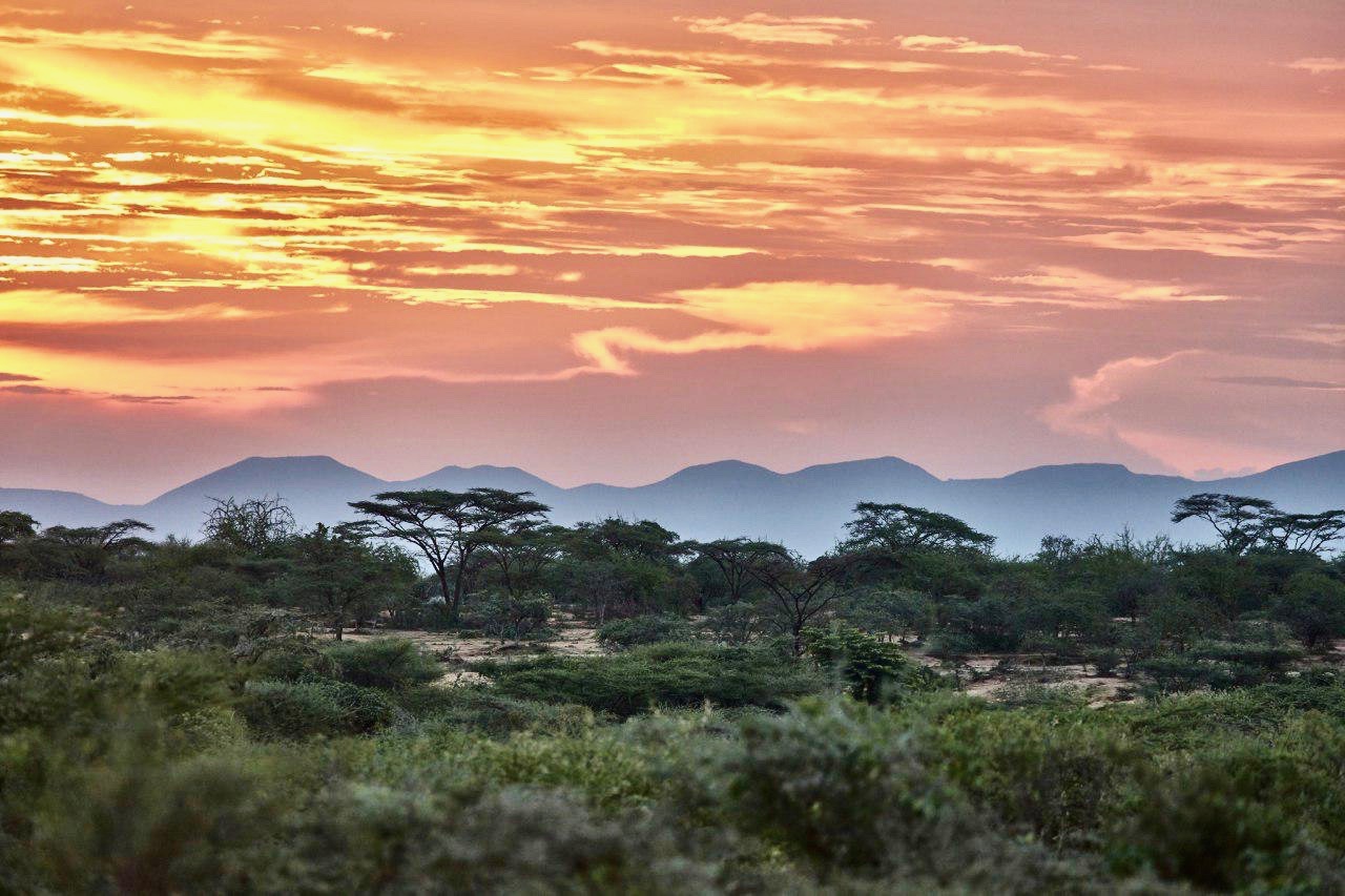 Lower valley of the Omo river: Ethiopia’s Southern jewel – Embassy of ...